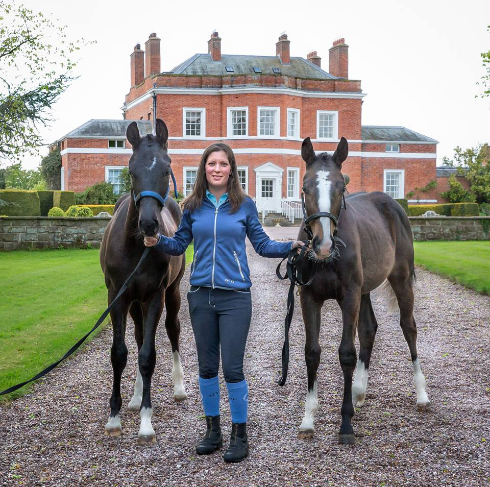 Stretton Hall Stud produces the finest sports horses | Stretton Hall Stud